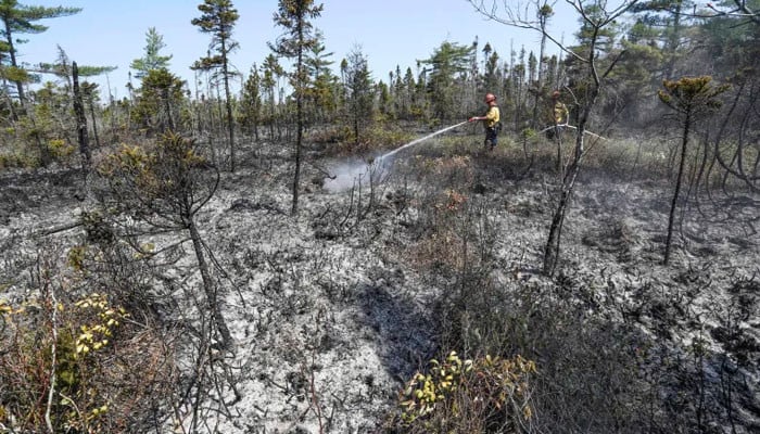 Climate Change: Midwest Air Quality Crisis Due to Wildfire Smoke